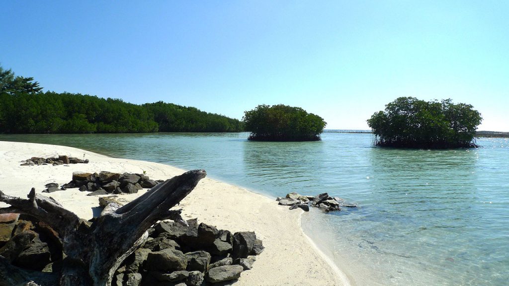 Private Beach Vacation | Best Private Destinations | CASTAWAYS